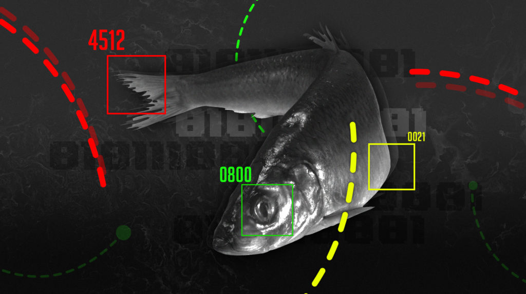 Google's X Development announces fish project Tidal - Thred Website