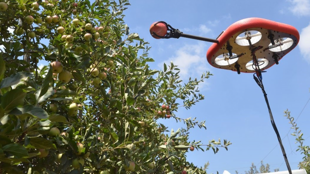 The autonomous fruit picking robots rescuing the farming industry ...