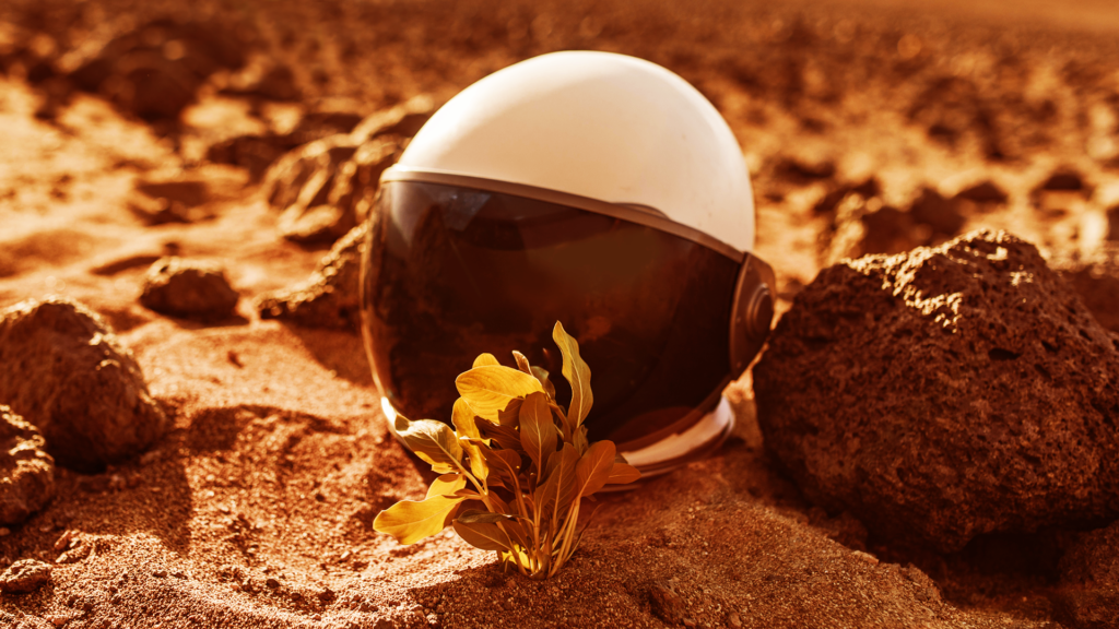 Colorado scientists grow first plants from Martian soil - Thred Website