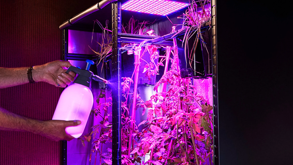 Tomato vines power cloud server in Warm Earth exhibition - Thred Website