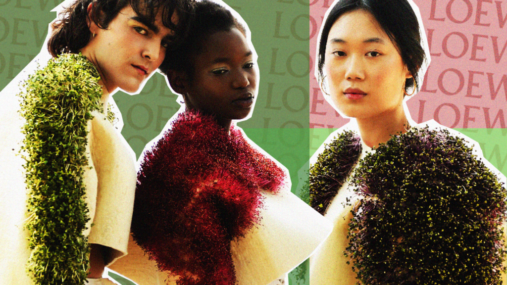 Loewe pairs with Spanish designer for plant-covered collection - Thred ...