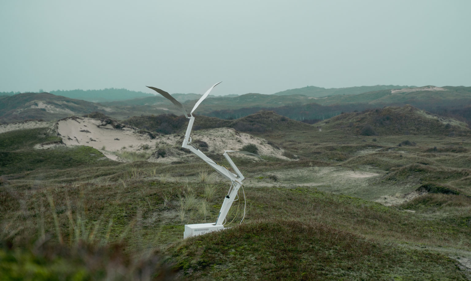 Exclusive – Why Thijs Biersteker is taking his work to COP15 - Thred ...