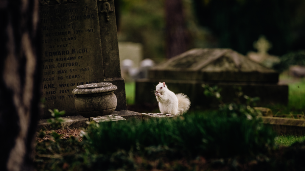UK authorities want to reuse graves as burial space diminishes - Thred ...