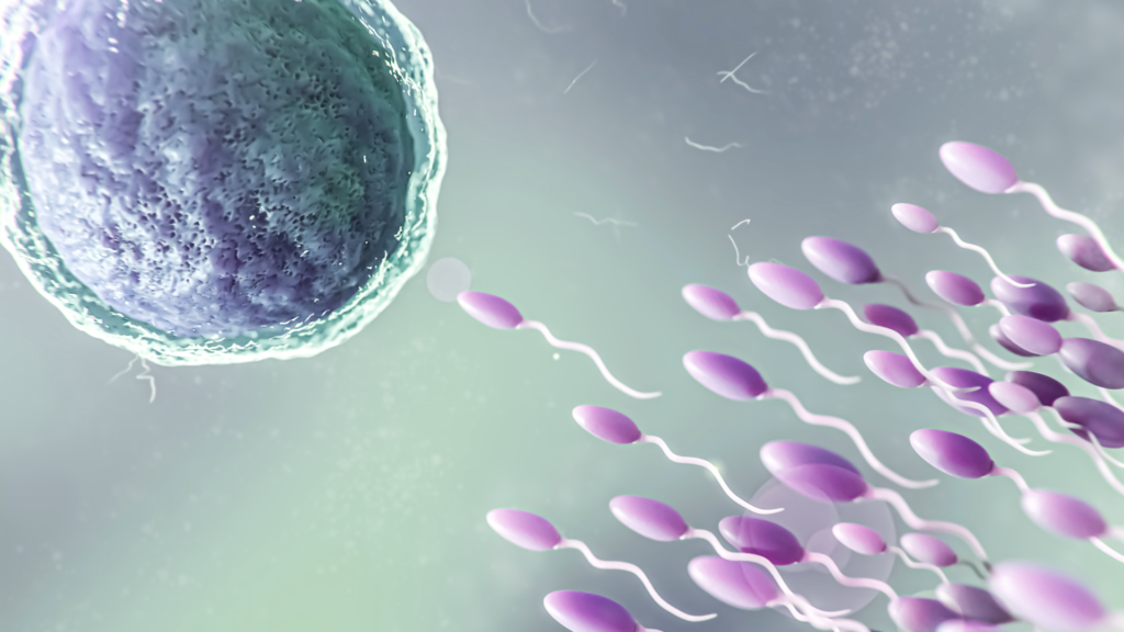 Male Contraceptive Pill Prototype Stops Sperm Swimming Thred Website