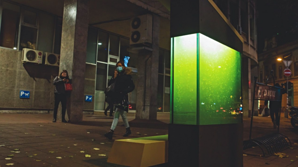 ‘Liquid tree’ installation absorbs CO2 emissions in Belgrade - Thred ...