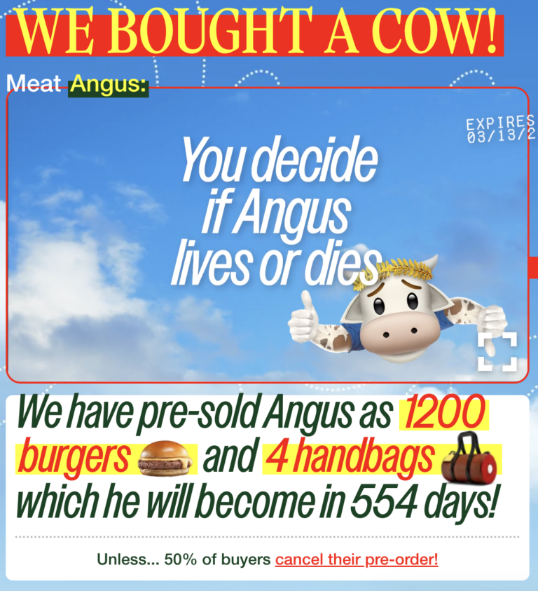 ‘Our Cow Angus’ is a project that tests society’s moral compass - Thred ...