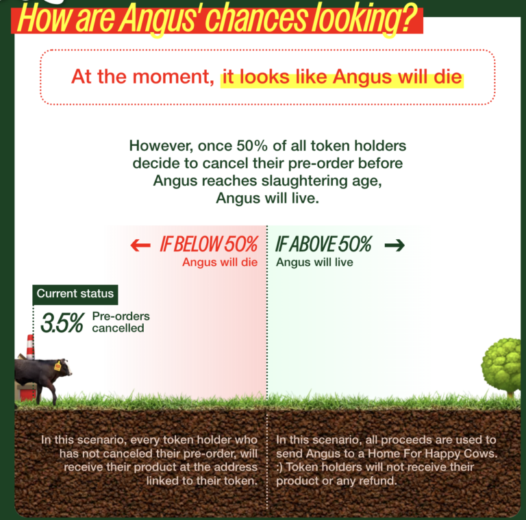 ‘Our Cow Angus’ is a project that tests society’s moral compass - Thred ...